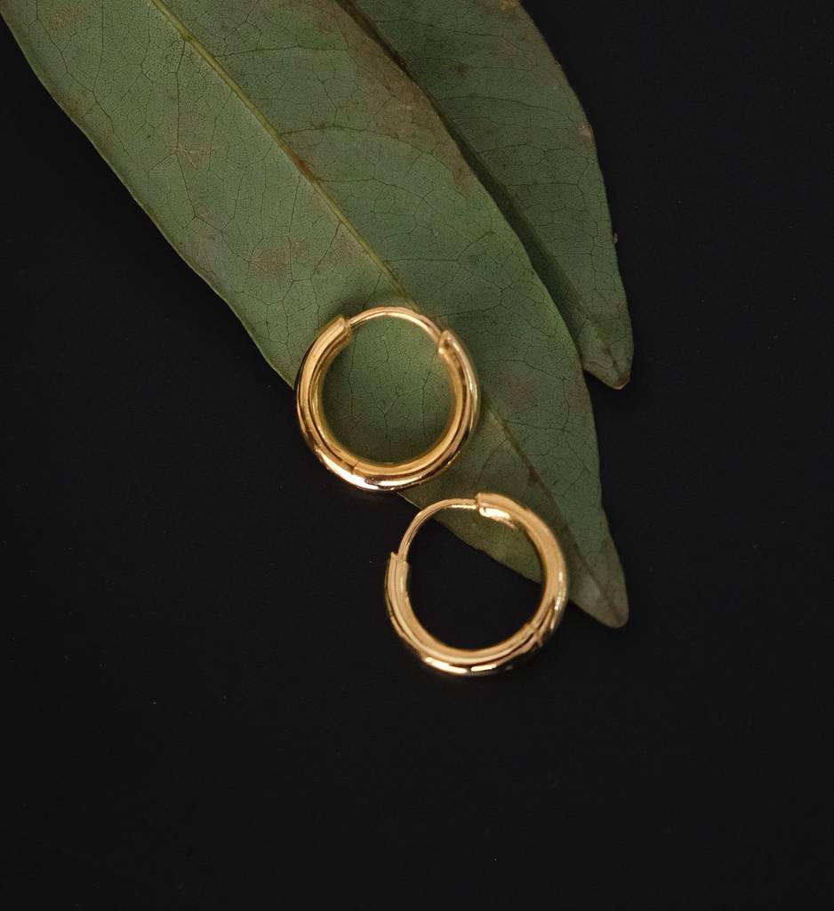Small Hoops | Small Hoops · Eternz