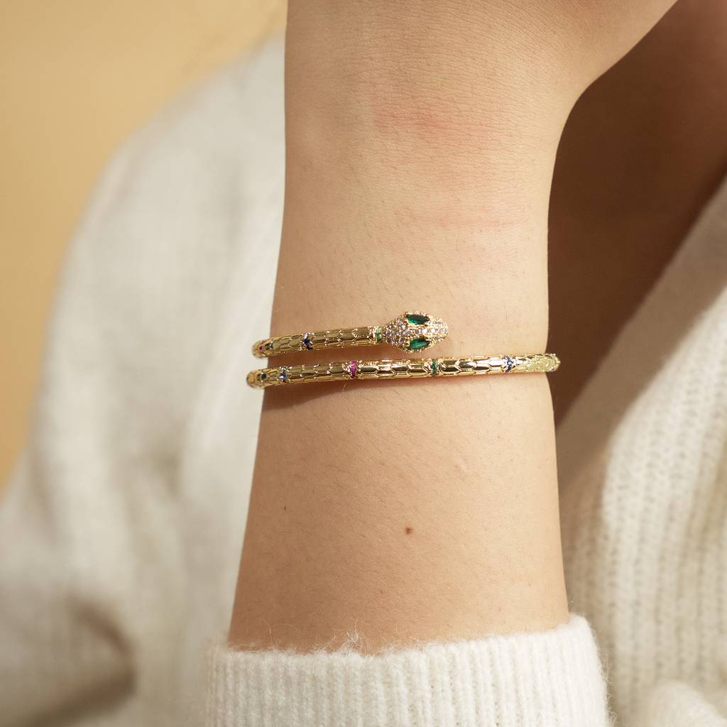 Twined Snake Dual Bangle | Twined Snake Dual Bangle · Eternz