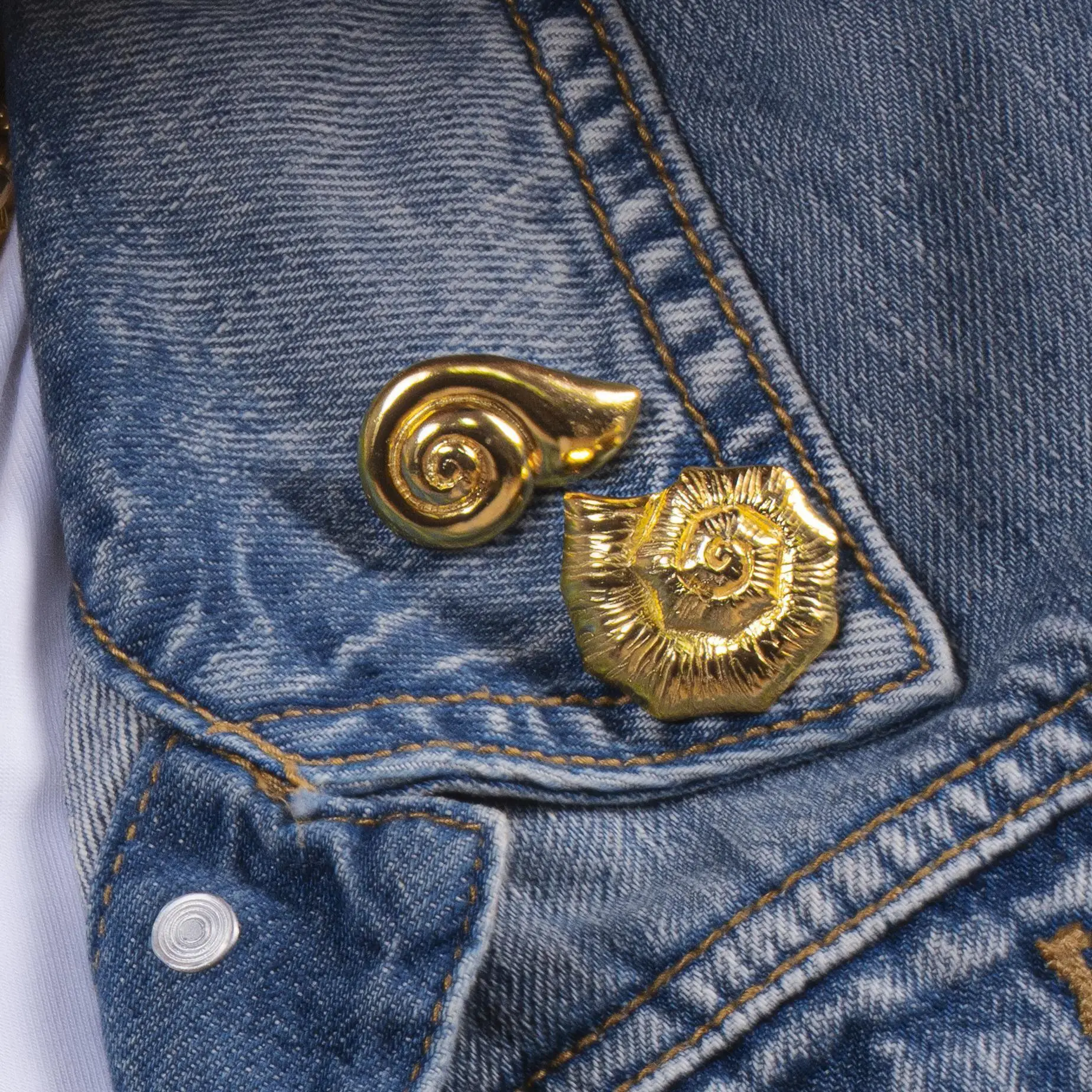 Moon Snail Brooch | Moon Snail Brooch · Eternz