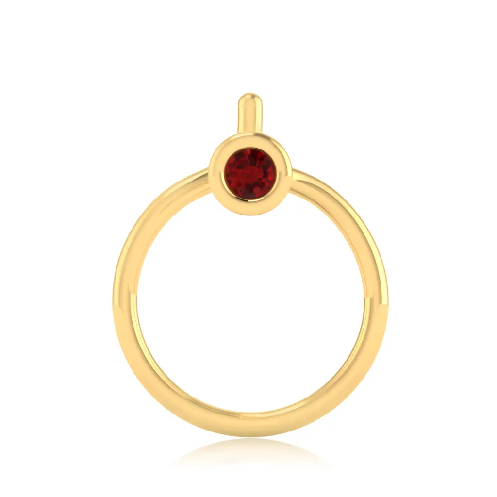 The Allan Ruby Nose Pin | The Allan Ruby Nose Pin · Eternz