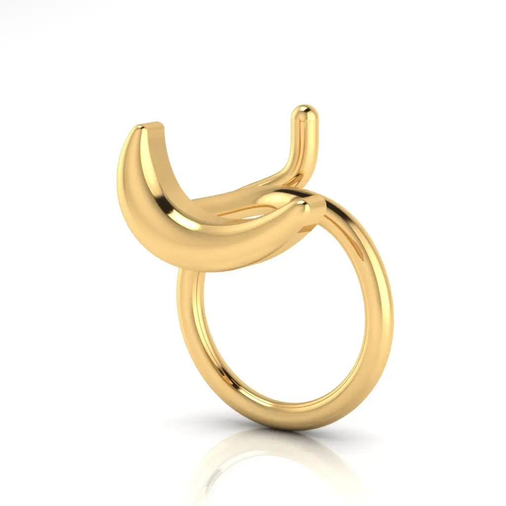 The Layla Gold Nose Pin | The Layla Gold Nose Pin · Eternz